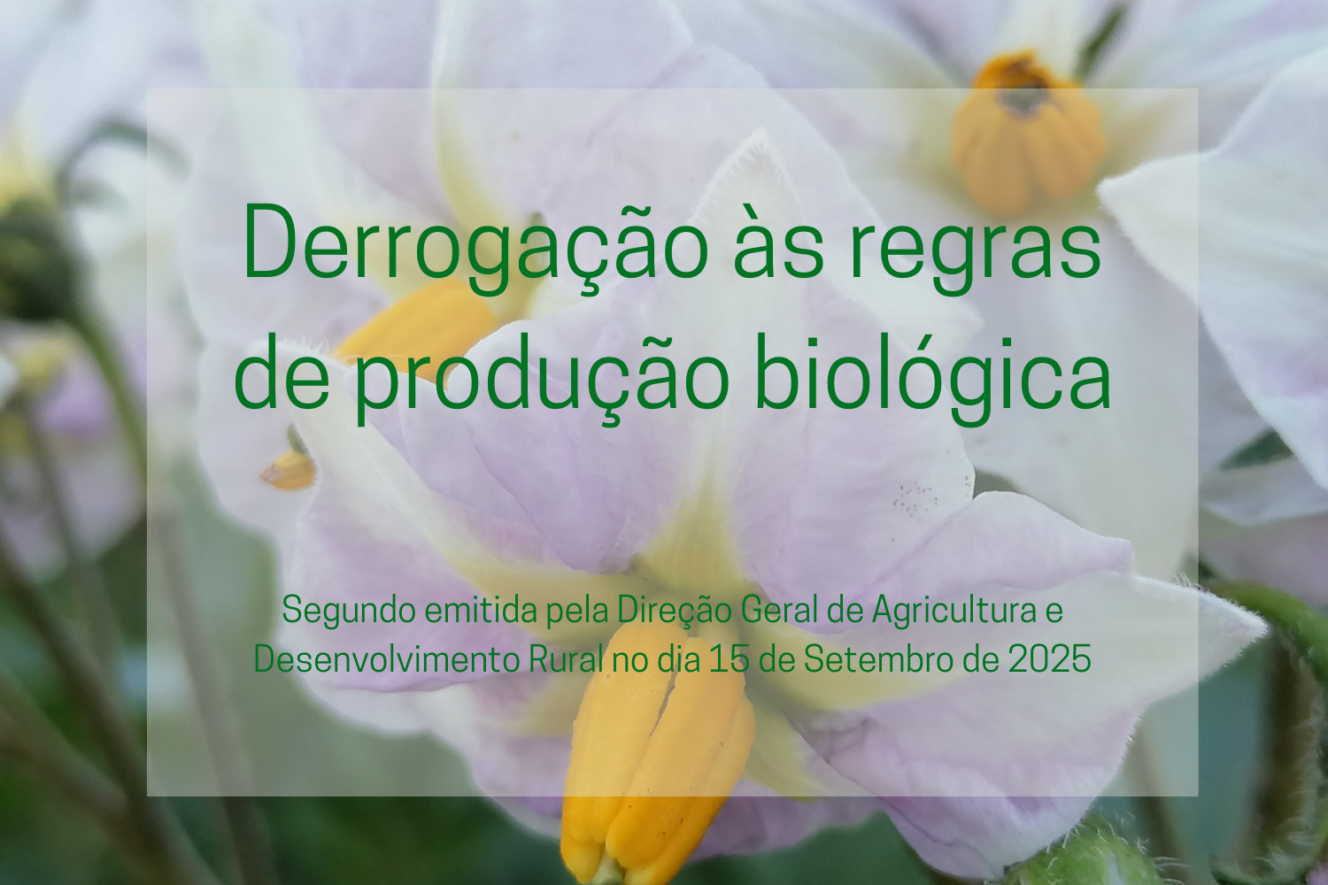 Agricert › Certificação de produtos agrícolas